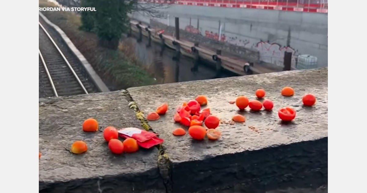 Dublin’s famous cherry tomato bridge