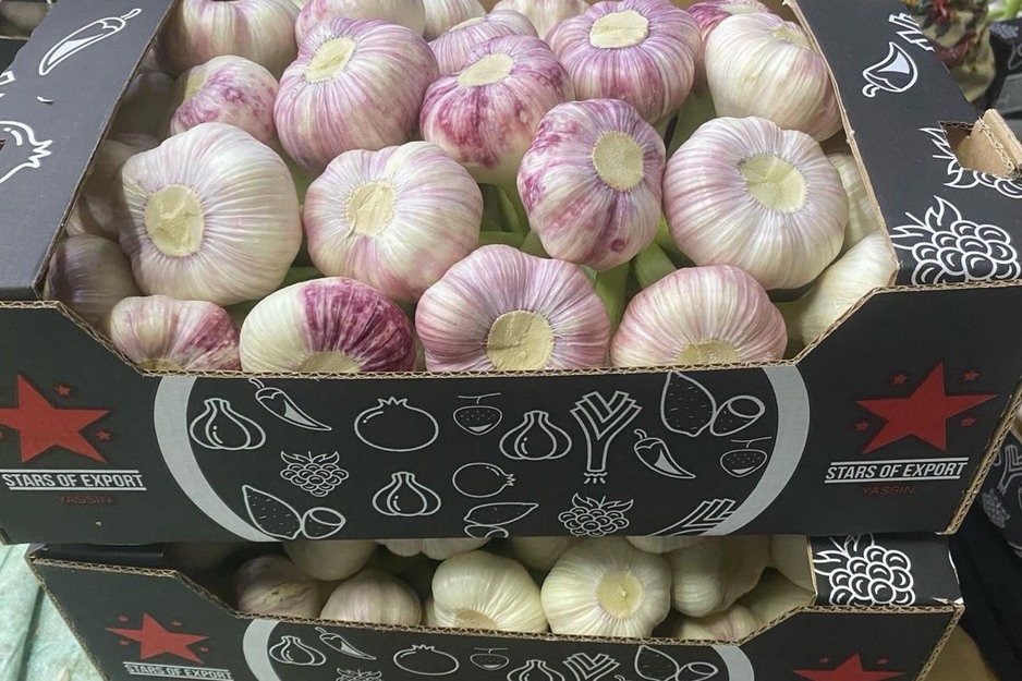 "High prices for South African green garlic turns demand to Egyptian garlic"