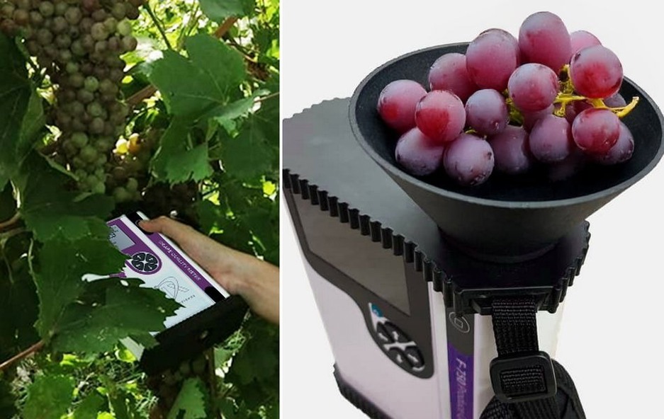 New instrument measures the internal quality of grapes in seconds