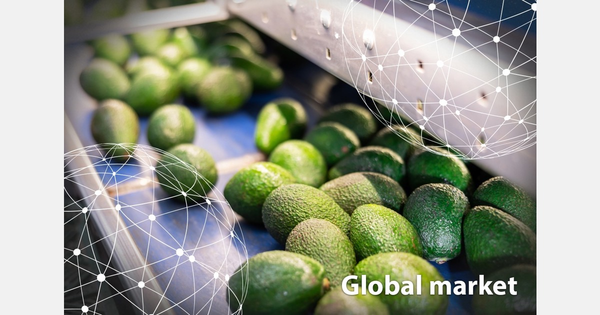 GLOBAL MARKET OVERVIEW AVOCADOS