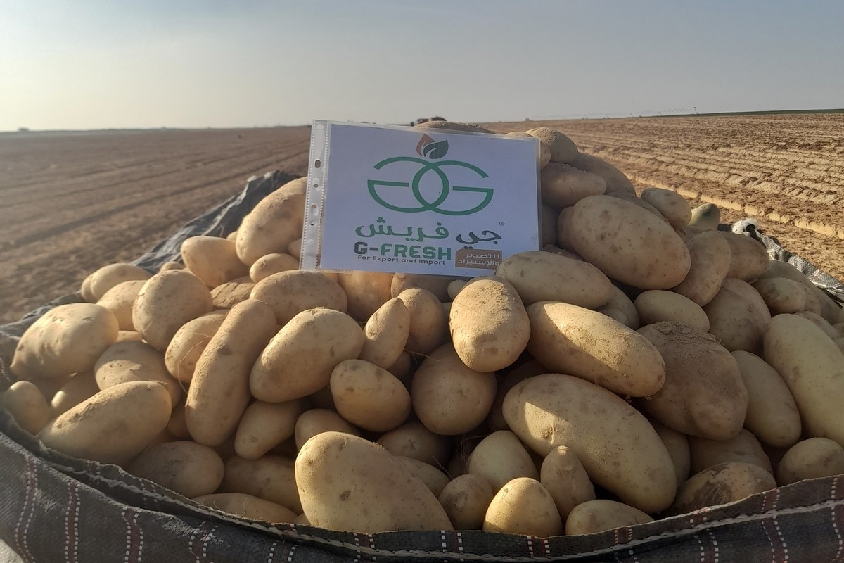 "New markets in Europe have started to import potatoes from us"