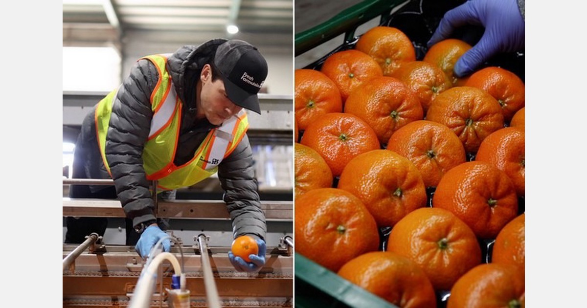 New plant-based post-harvest solution to debut at Fruit Logistica