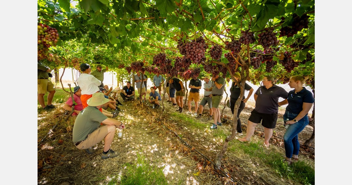 Grape Evolution’s visit marks a new era for Volcani Institute’s table ...