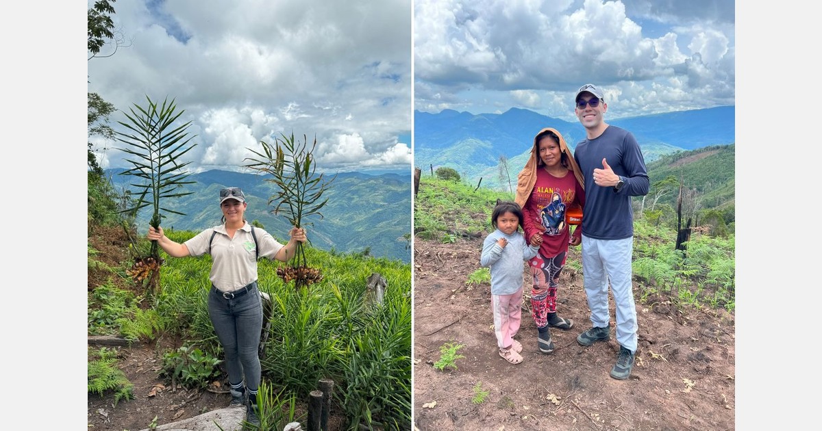 Quality challenges in the Peruvian ginger industry