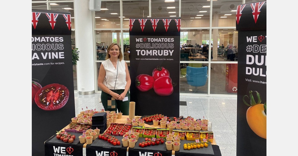 ToBRFV-resistant tomatoes will be presented in Berlin