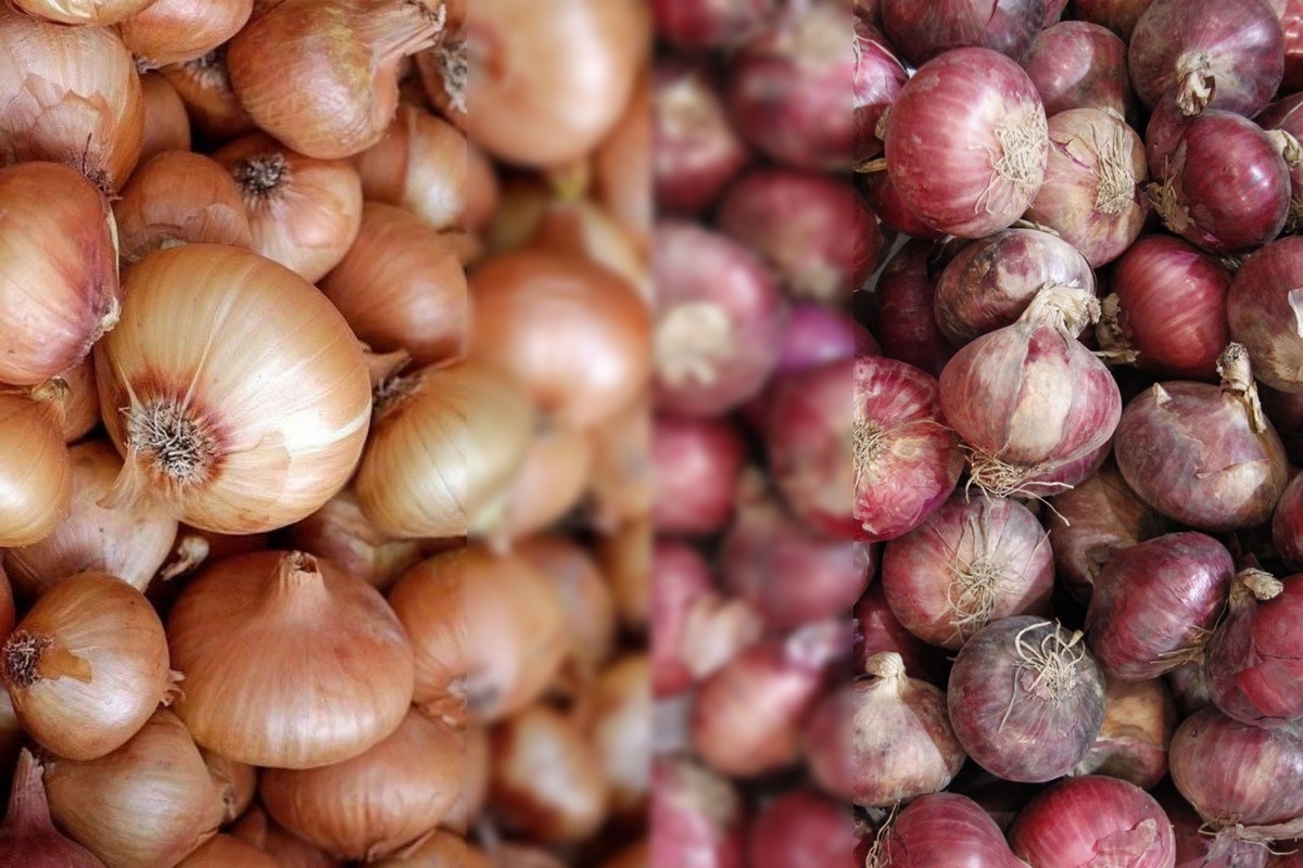 Philippines imports 4,000 metric tons of onions to prevent shortages and price spikes