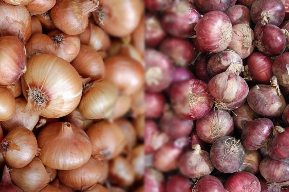 Philippines imports 4,000 metric tons of onions to prevent shortages and price spikes