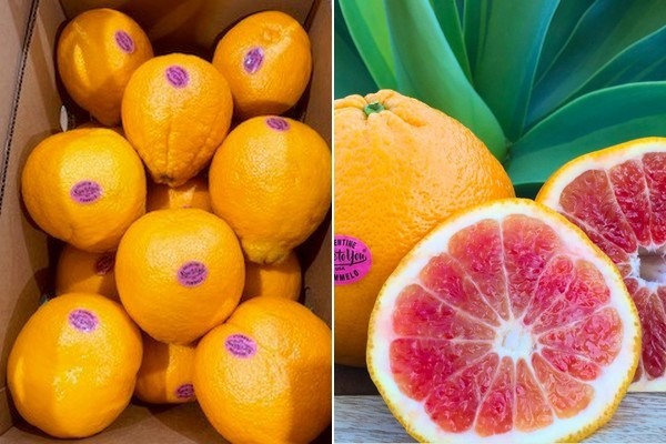 Valentine Pummelo coming into its own