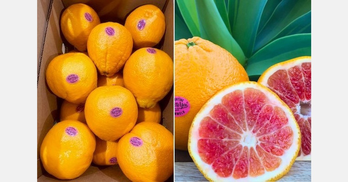 Valentine Pummelo coming into its own