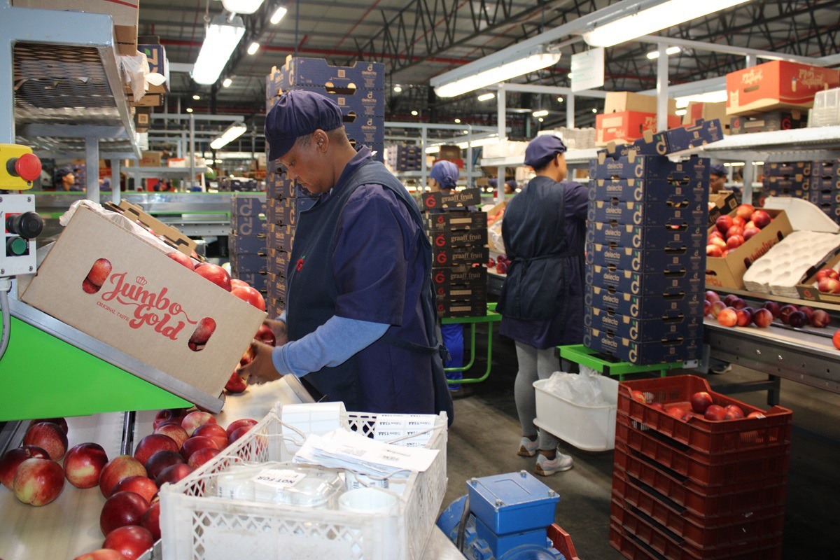 “We love packing stone fruit”