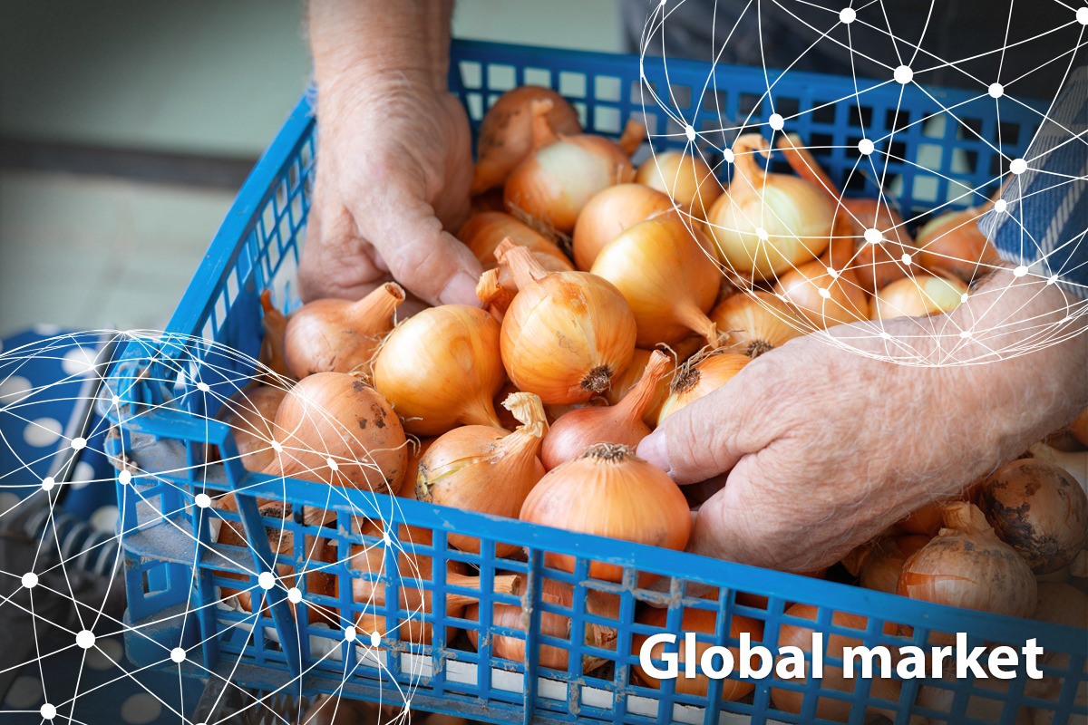 GLOBAL MARKET OVERVIEW ONIONS