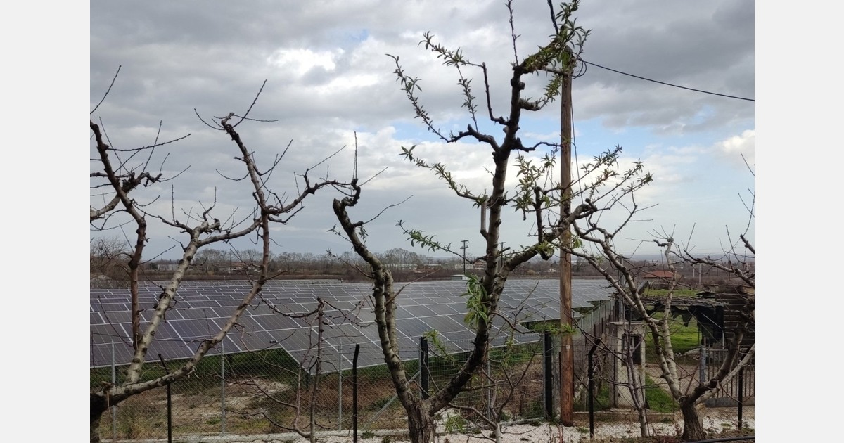 “It's expected that all deciduous fruit tree varieties will meet their ...