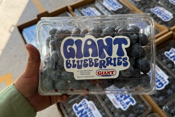 Jumbo blueberries feature new label design