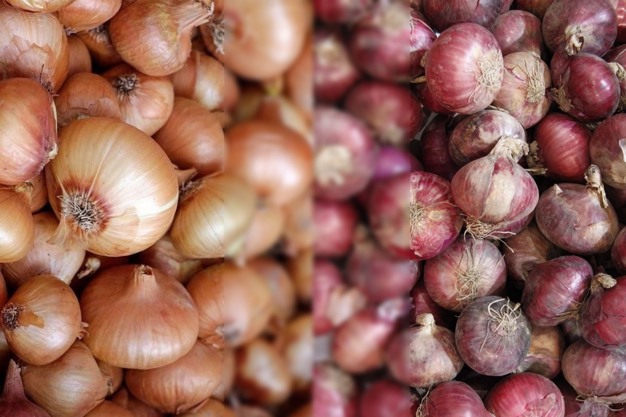 Philippines probes onion hoarding amid high prices and 4,000 metric tons of imports