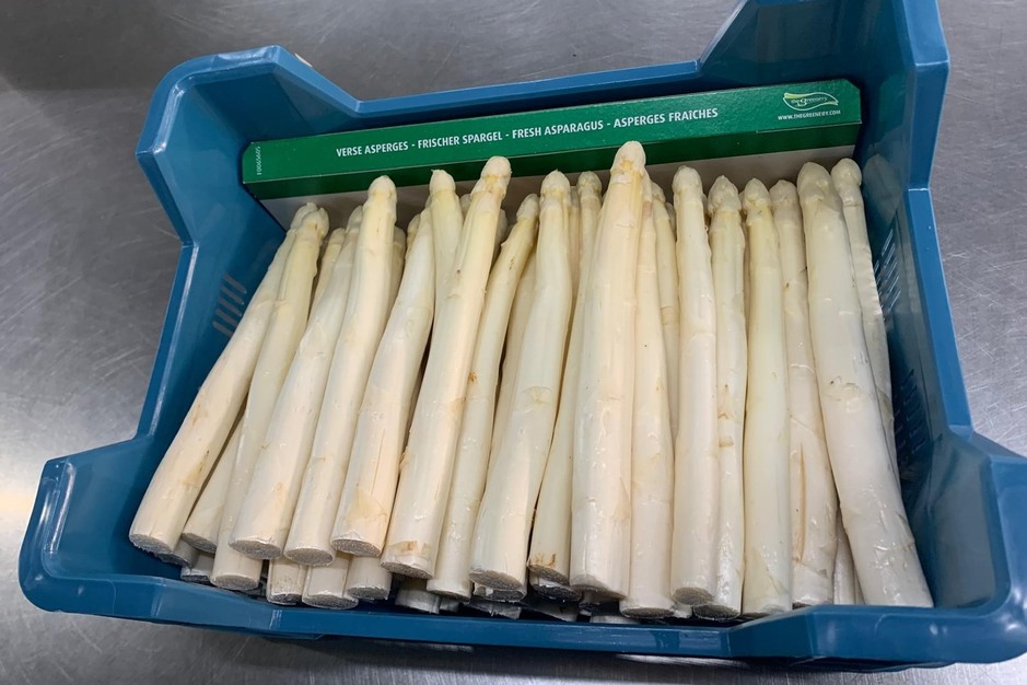 Dutch white asparagus season begins