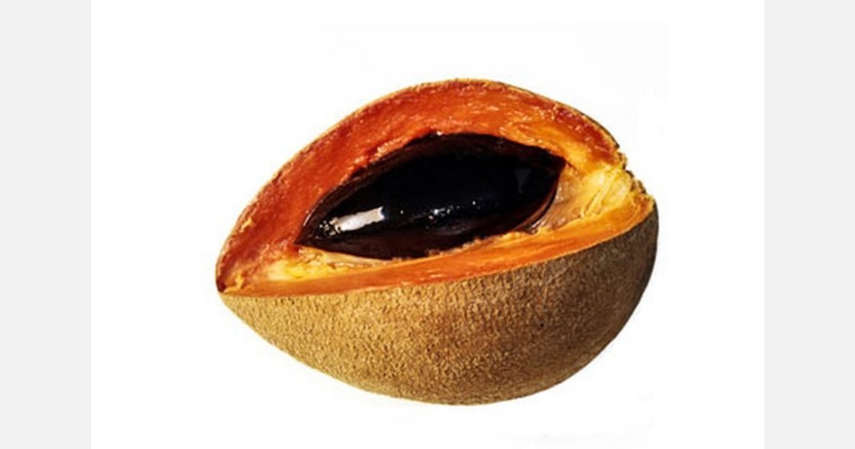 Looking ahead at Florida’s peak Mamey Sapote season