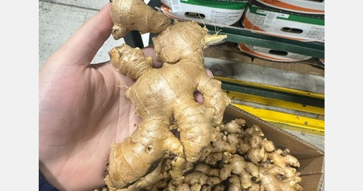 Pricing stronger on Costa Rican and Peruvian ginger