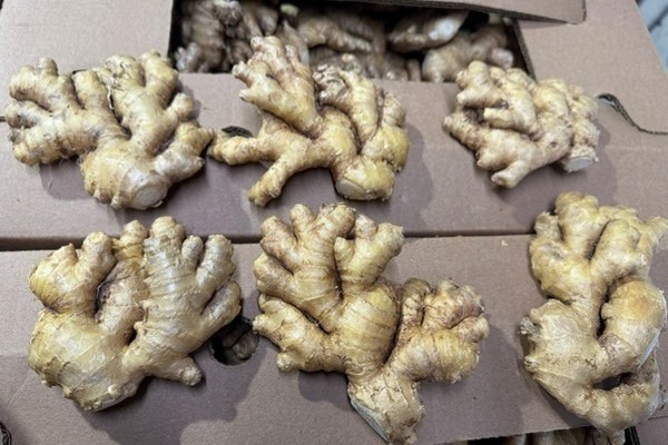 Pricing stronger on Costa Rican and Peruvian ginger