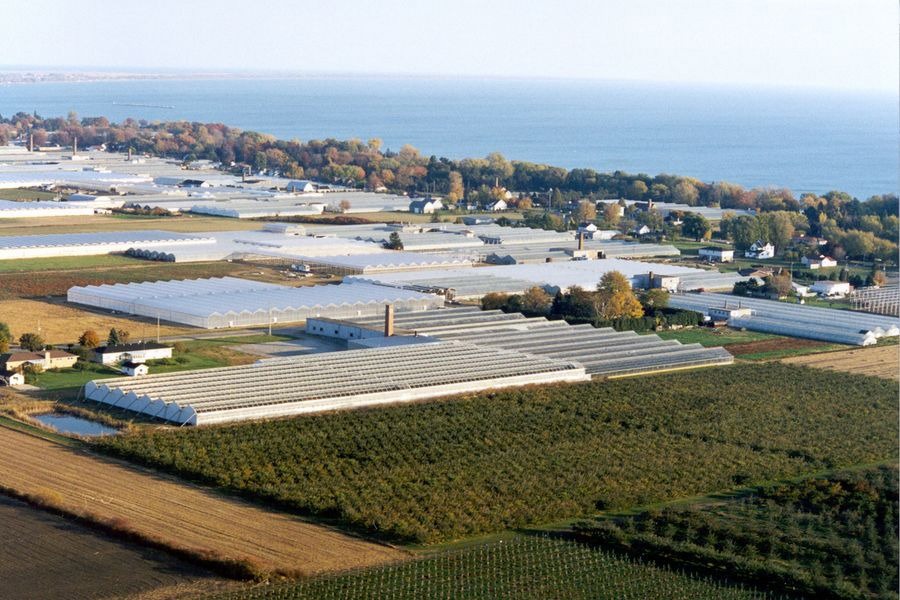 Tariffs create uncertainty in Canadian greenhouse sector