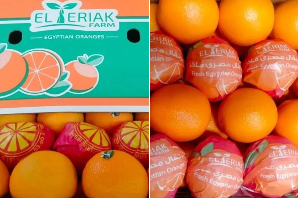 Sharp fluctuations in the price of Egyptian Valencia oranges