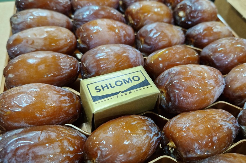 Medjool dates as frozen candy