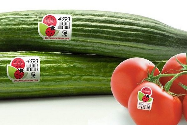 How a little PLU sticker can offer big solutions