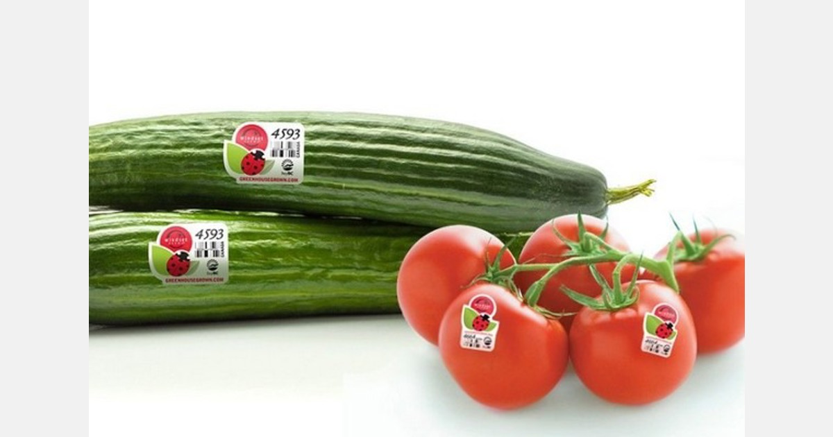 How a little PLU sticker can offer big solutions