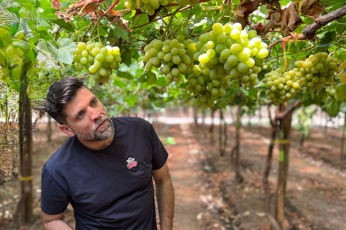 “If all retailers would focus on offering high quality and high flavor ...