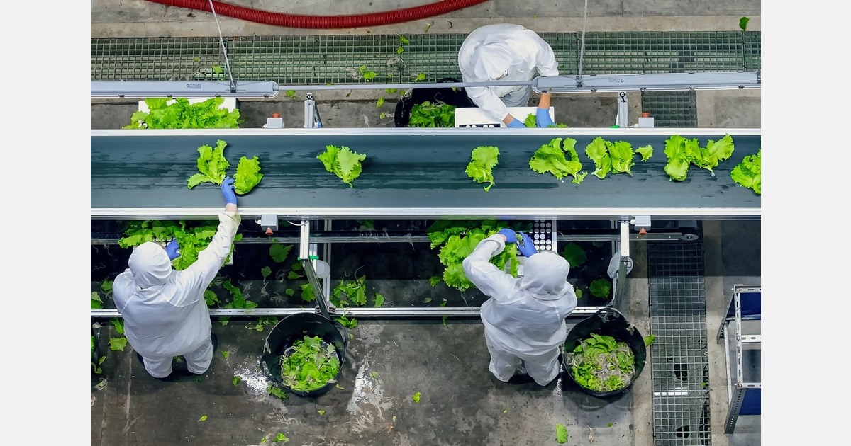 Lockyer Valley facility urges stronger support for local food