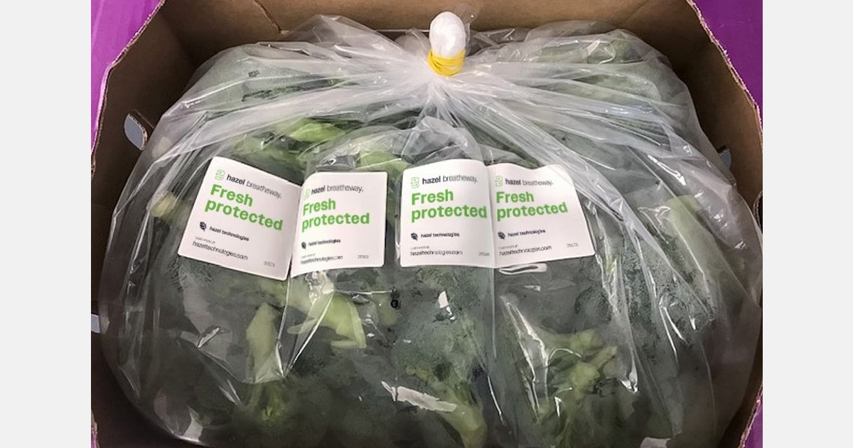 New packaging technology eliminates the need for ice when shipping broccoli