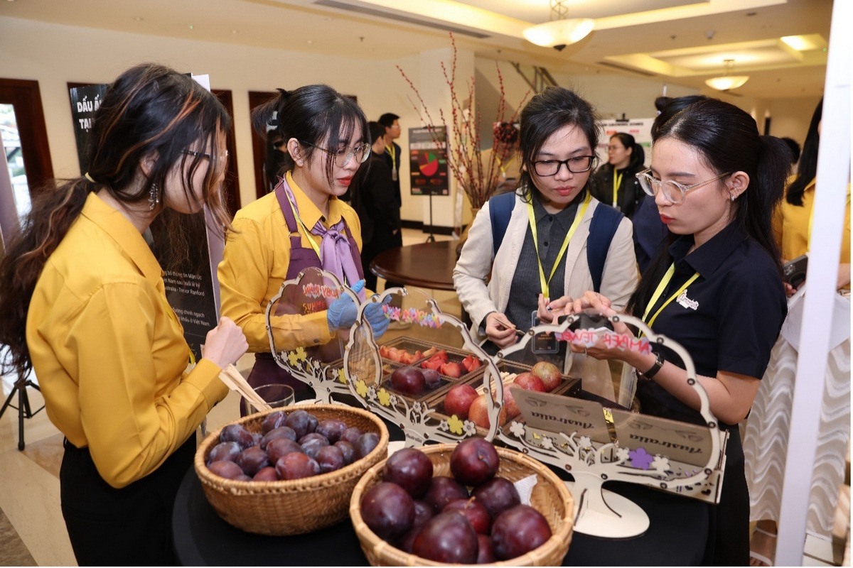 Australian plums officially launched in Vietnam fruit market