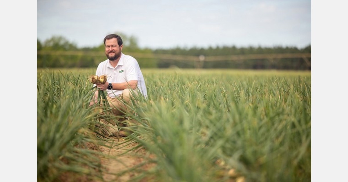 Slightly smaller crop size of Vidalia Sweet Onions anticipated for 2025