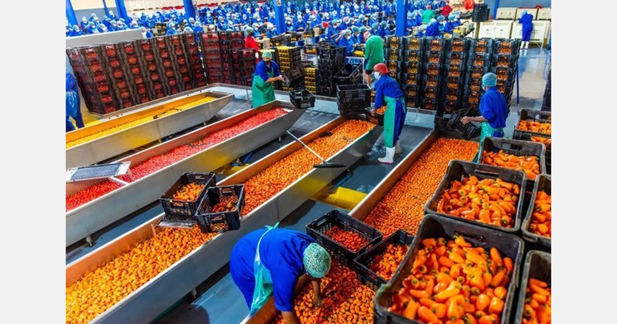 "Carara Agro Processing sets the benchmark for quality in uncertain ...