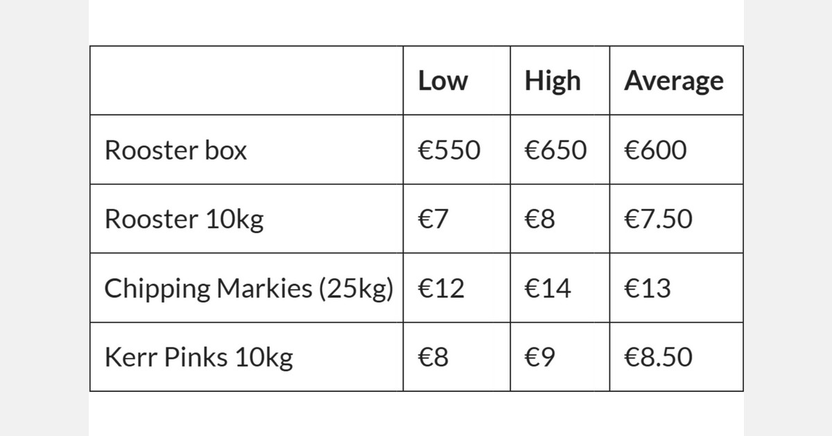 Strong potato demand as planting stays on track