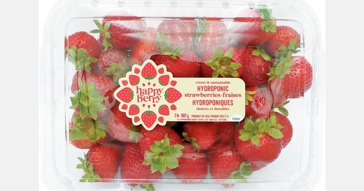 Hydroponically grown strawberries get a fresh look