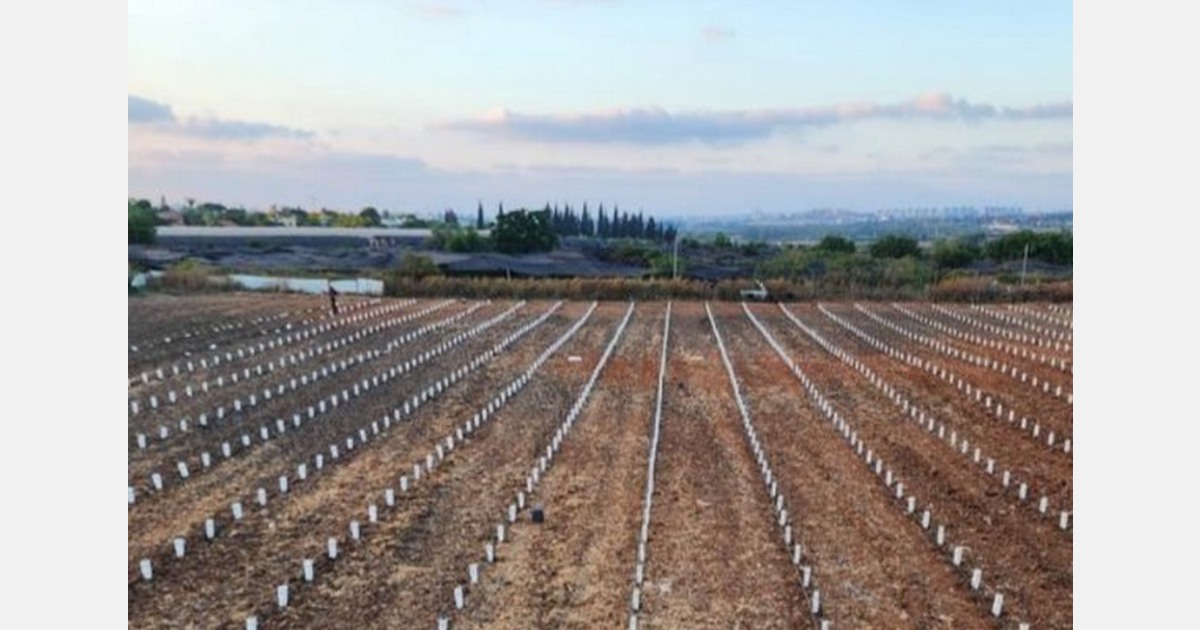 “Setting a new standard for grapevine propagation”