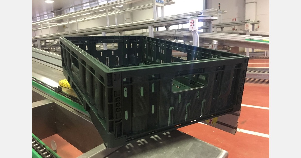 Italian grape grower partners with Tosca to address operational challenges