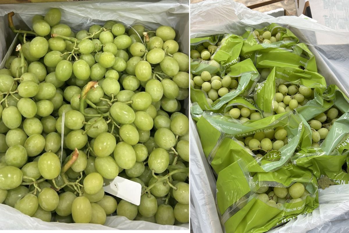 Managing China’s rising influence in the global grape market