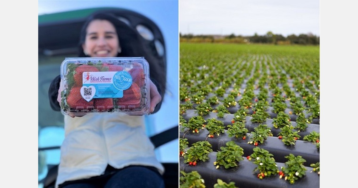 “Berry Bonanza” rewards loyal berry shoppers