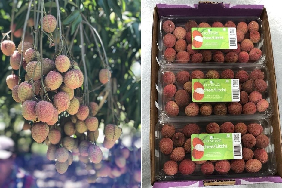 Store presentation plays a key role in lychee sales