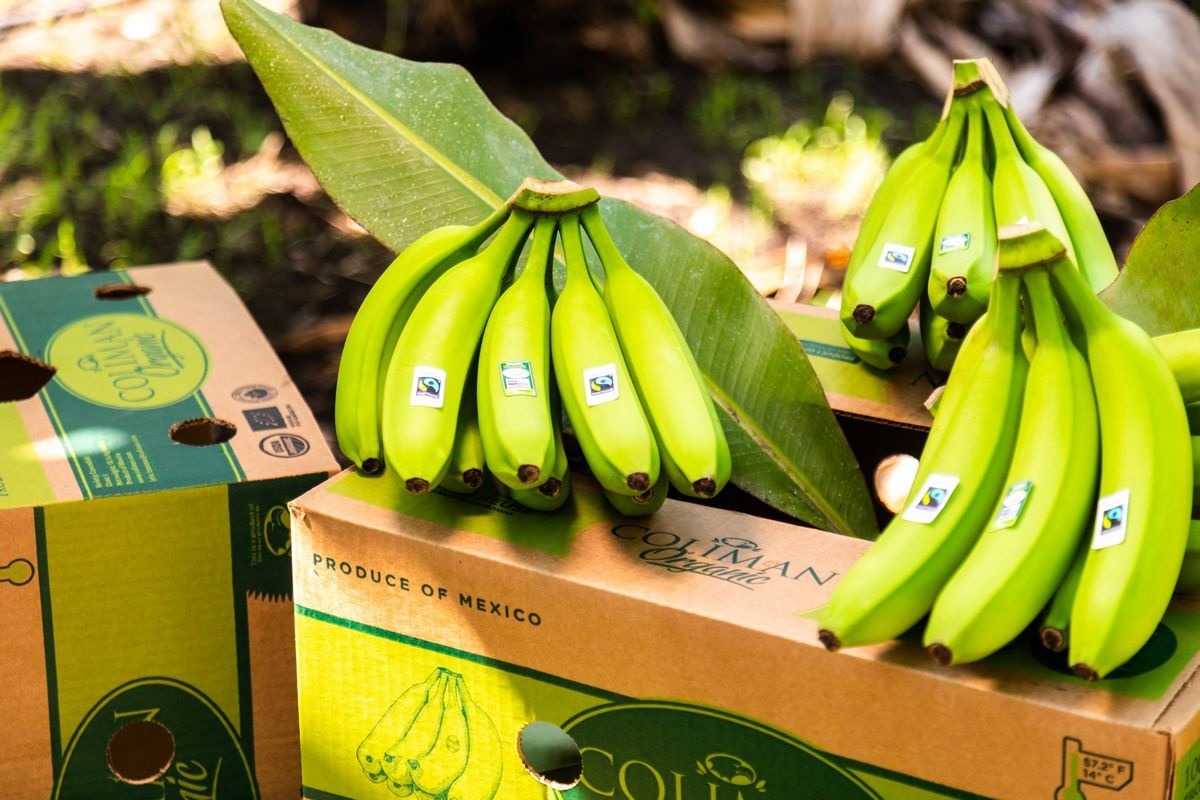 Coliman Bananas - AGGALL Group celebrates its 47th anniversary