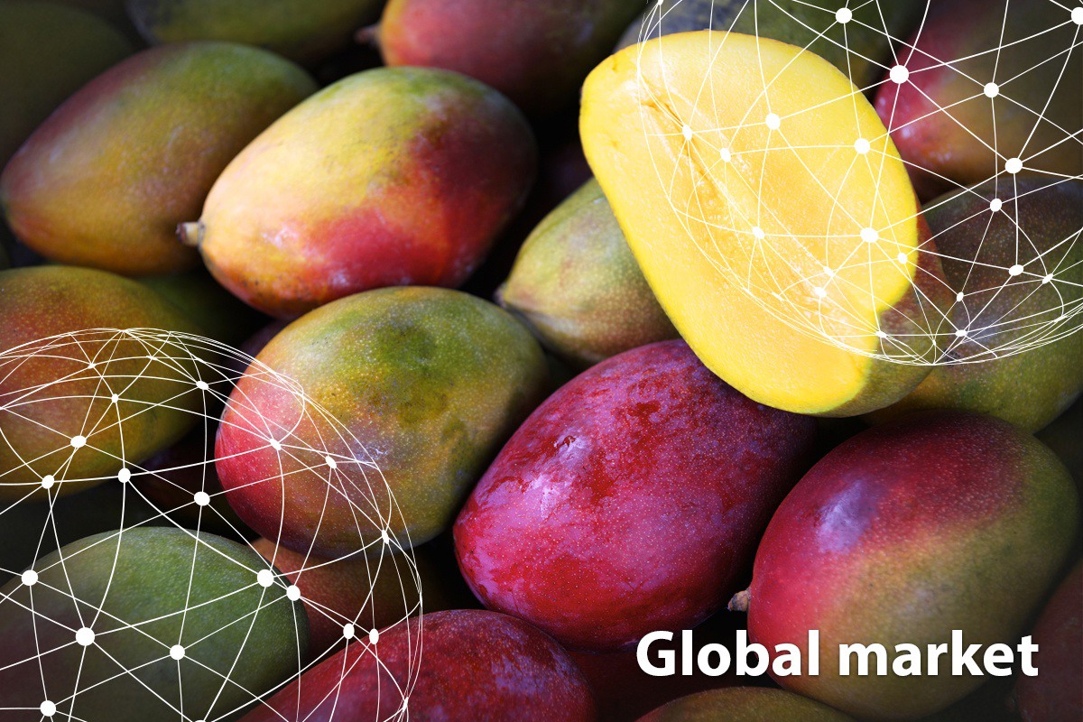 GLOBAL MARKET OVERVIEW MANGOES
