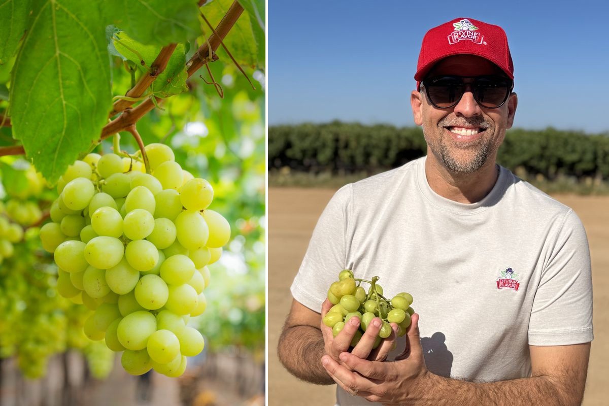 “Thanks to our grape program in Jalisco, my life will be extended by ...