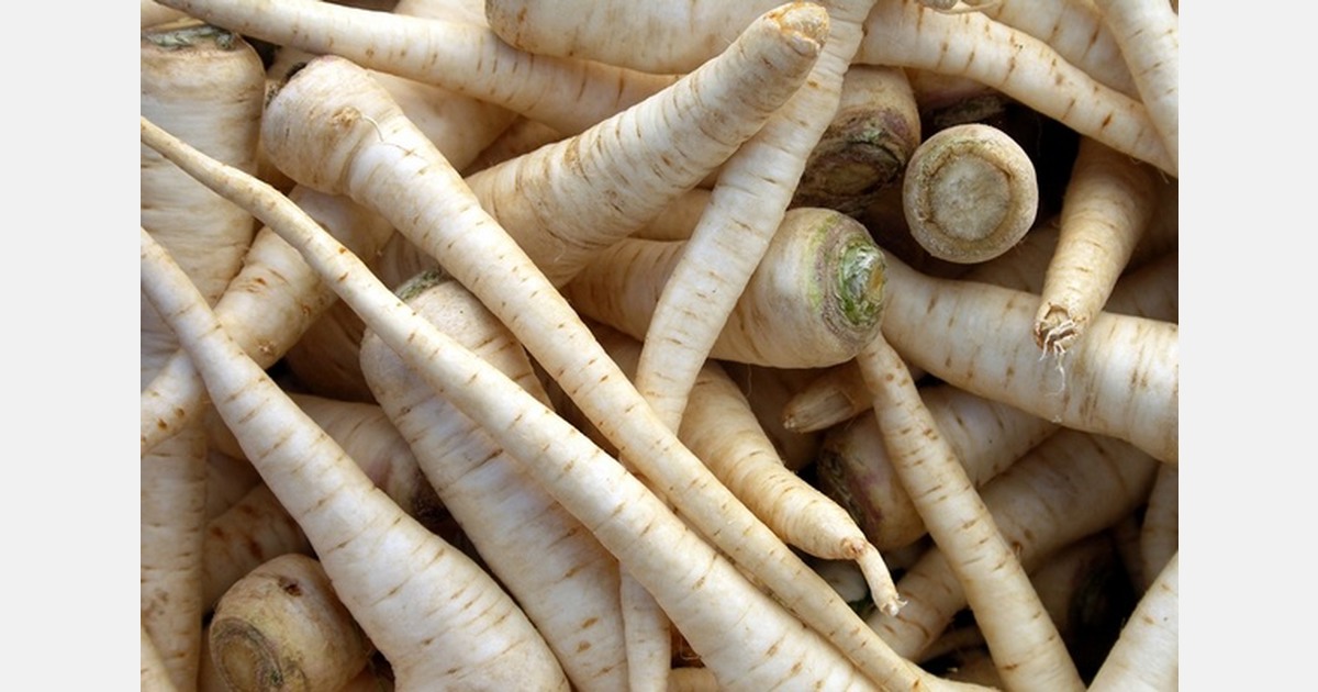 Retailer partners with local supplier for Irish-grown parsnips