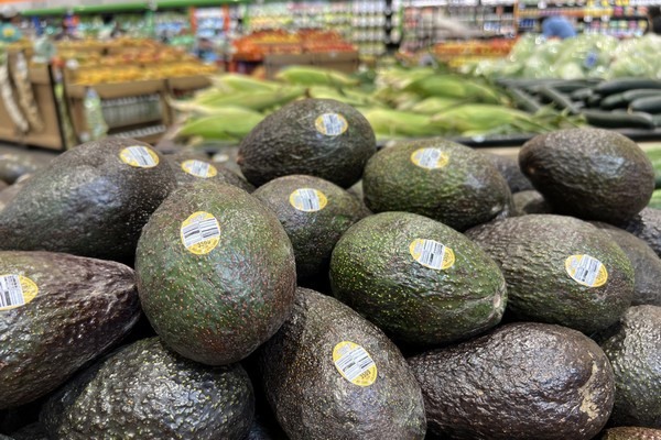 Home compostable fruit label up for sustainability initiative award