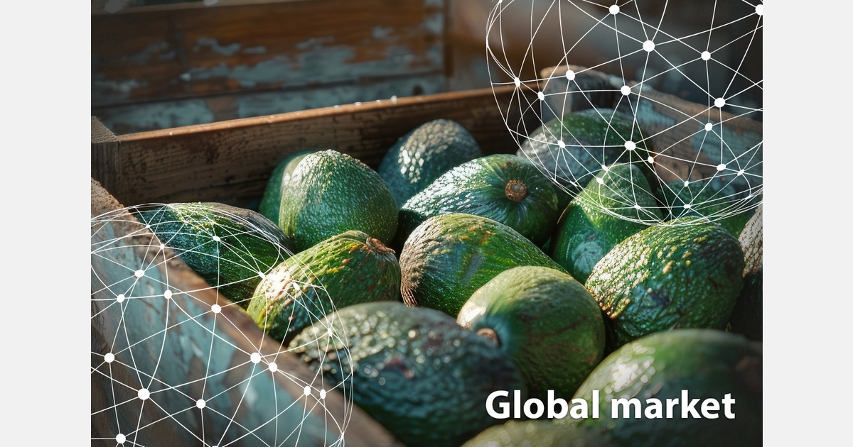 GLOBAL MARKET OVERVIEW AVOCADOS