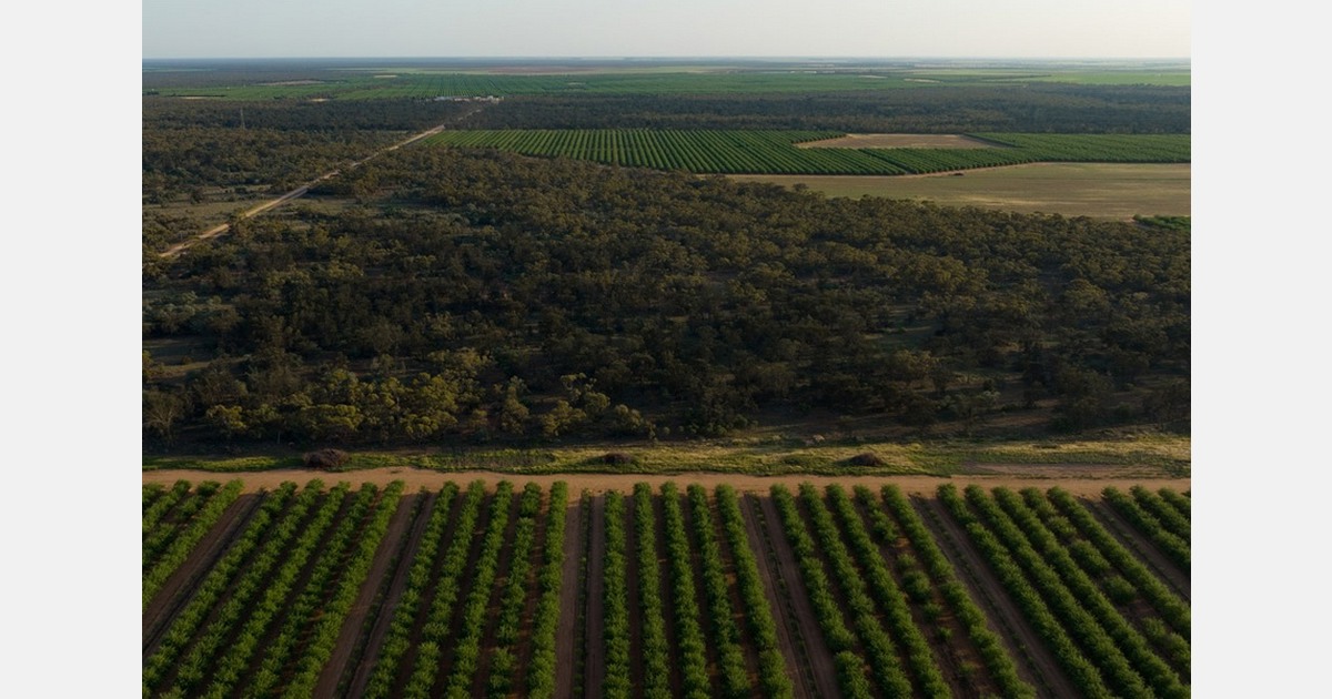 Select Harvests posts gains, secures $240m refinancing