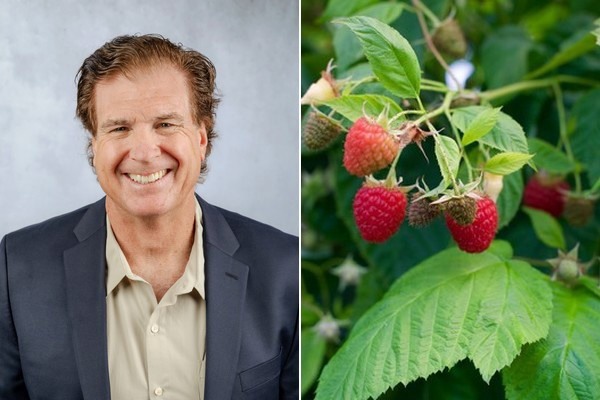 Conventional blackberry supply new for California’s Central Valley this season