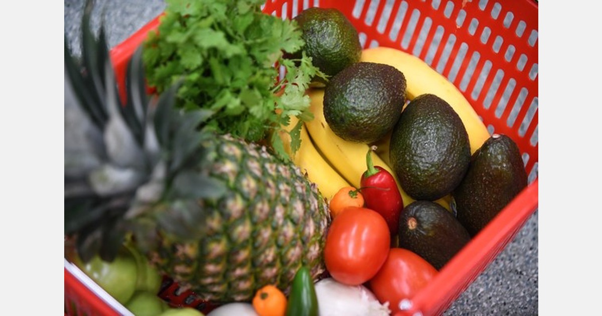 How avocados influence SNAP/WIC shopping and drive healthier food choices