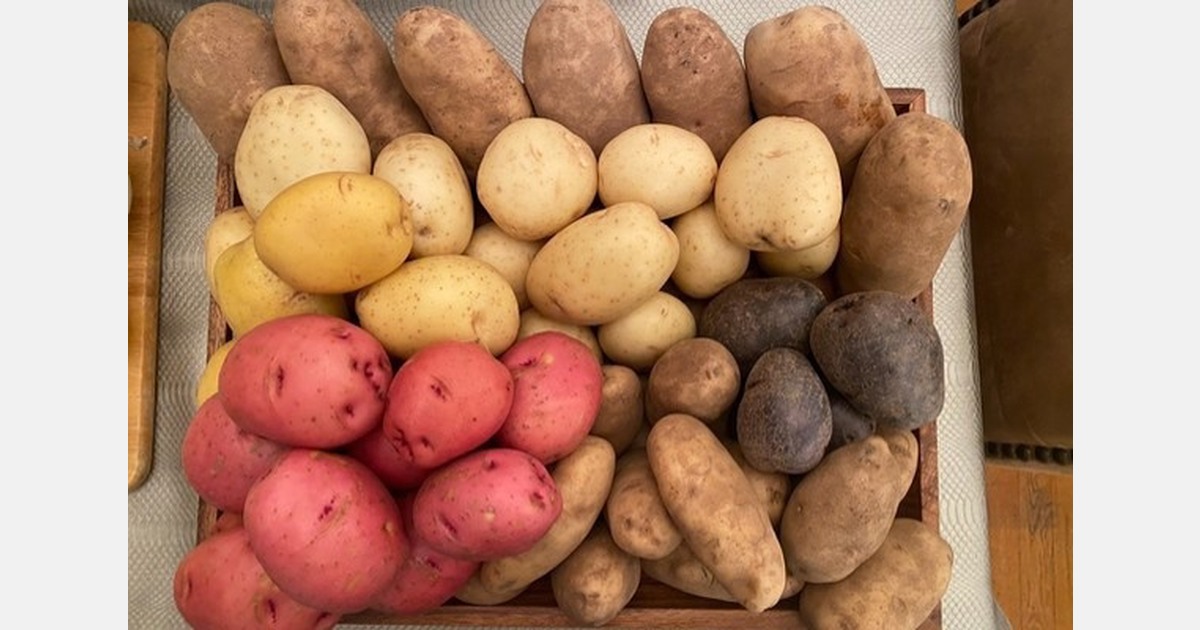 Core commodities see good supply-demand balance